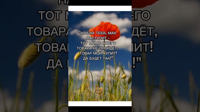 ЗАГОВОР НА ТОРГОВЛЮ#15