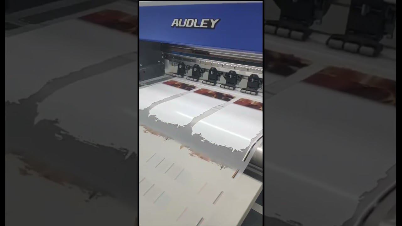 Демонстрация работы принтера для DTF печати AUDLEY (DTFSTAR) ZX6002, (комплект с шейкер сушкой)