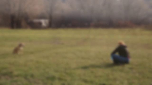 Frisbee Battle Несси vs Одри.mp4