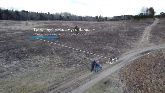 #ОтдохниОтМегаполиса 2 серия Экоклуб Валдай. Трек-клуб Маламуты Валдая. Большая Валдайская тропа