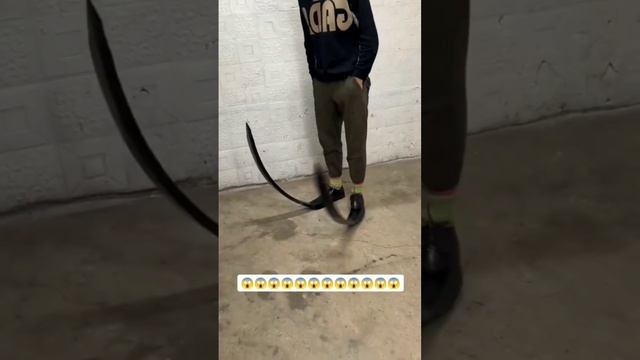 Уф... Какие бархатные тяги....