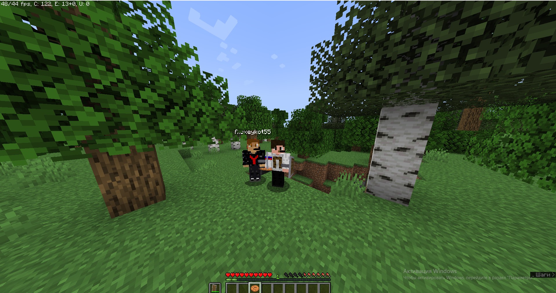 Нашёл нормальную шахту в майнкрафте!