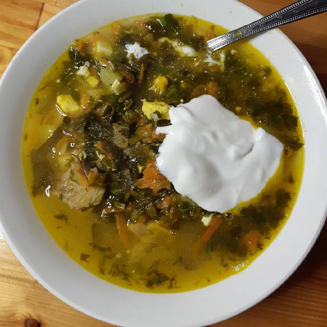 Зеленый борщ с консервированным шавелем