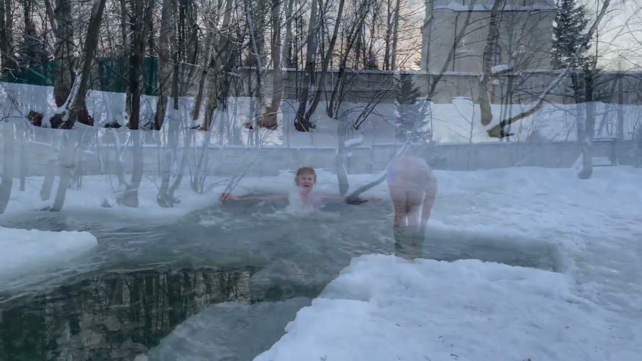 Юные моржата