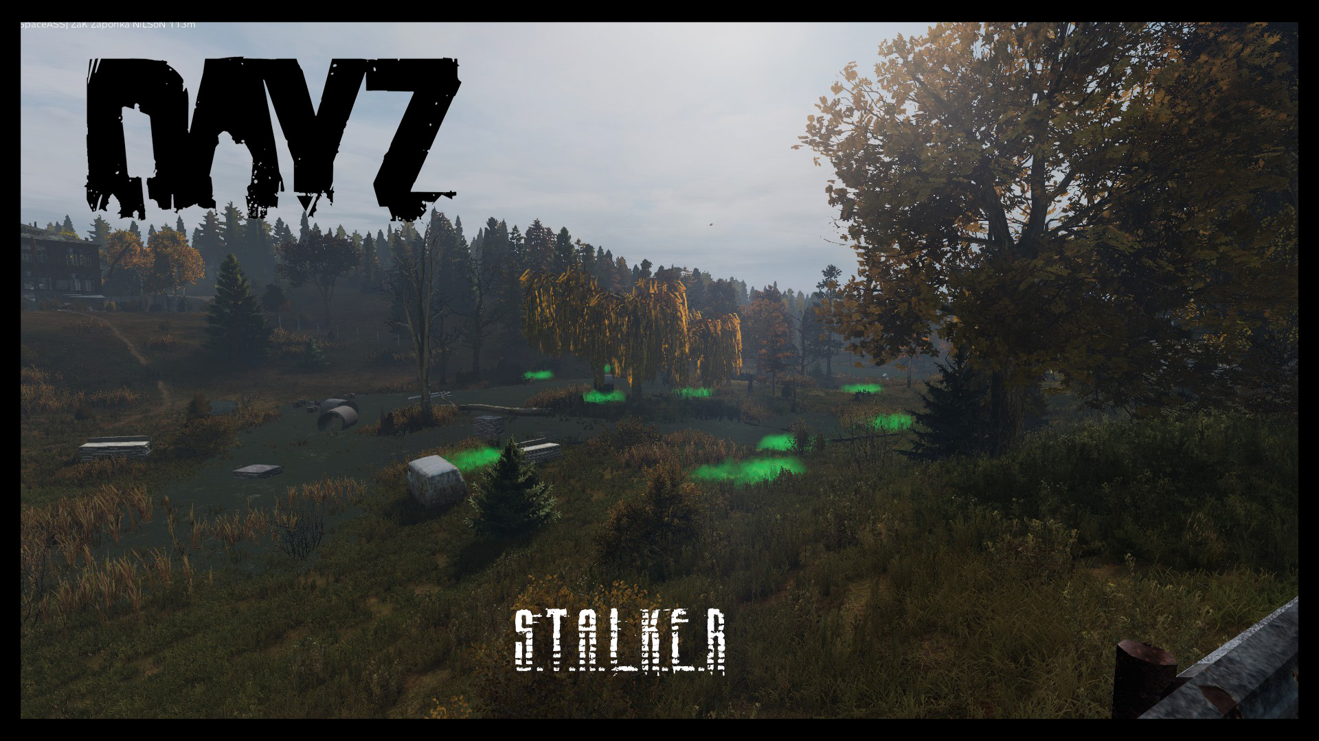 Dayz Stalker