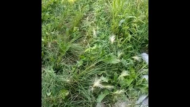 Уход за кожей тела.mp4