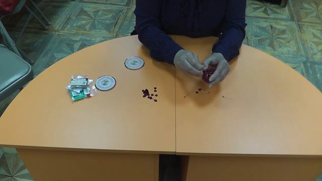 Чудо Фаберже - С.В. Ревина- ведущий библиотекарь ОКДР СКДБ-