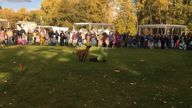 фестиваль Эко дог #счастьедаром Юля и Афи.mp4