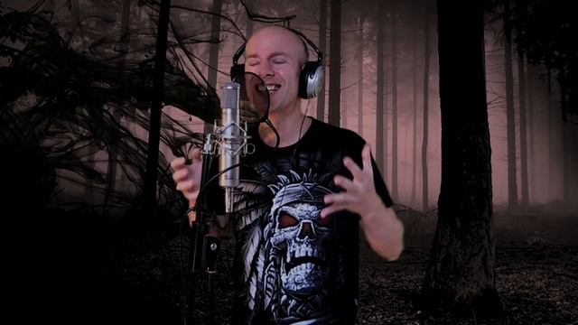 Hammerfall - Natural high (русская версия)