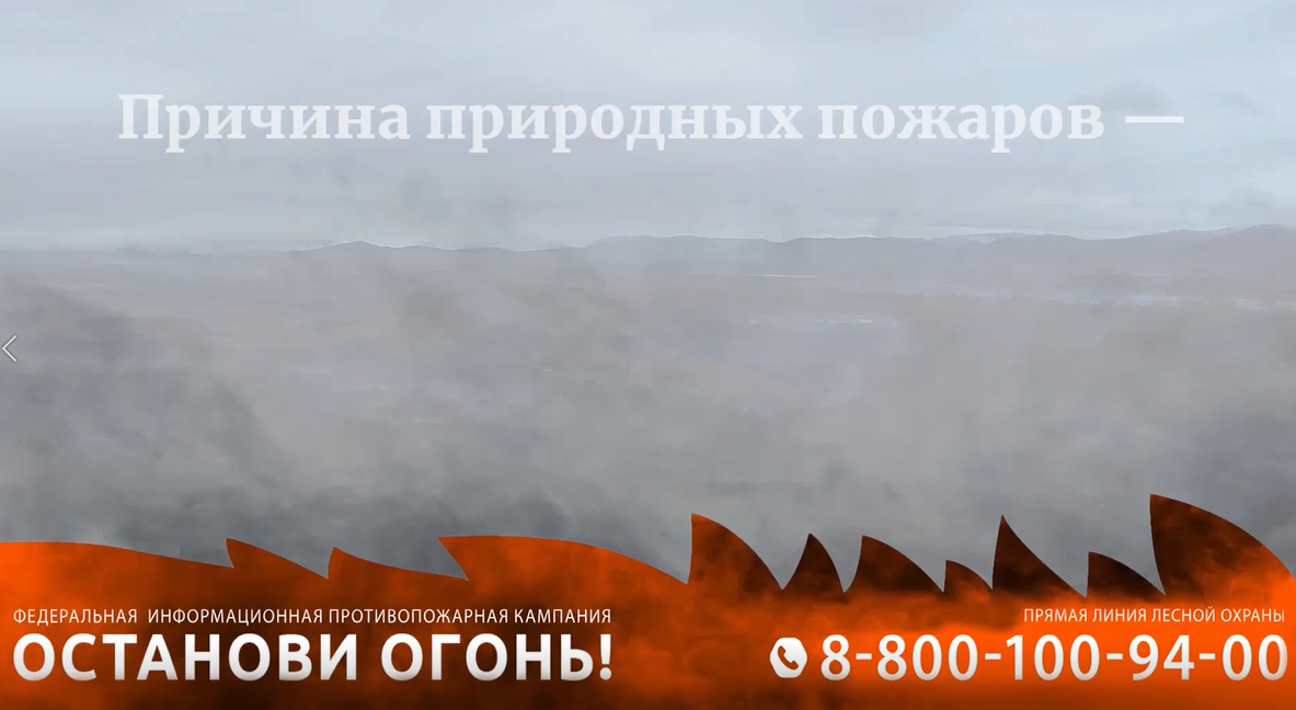 Причина природных пожаров