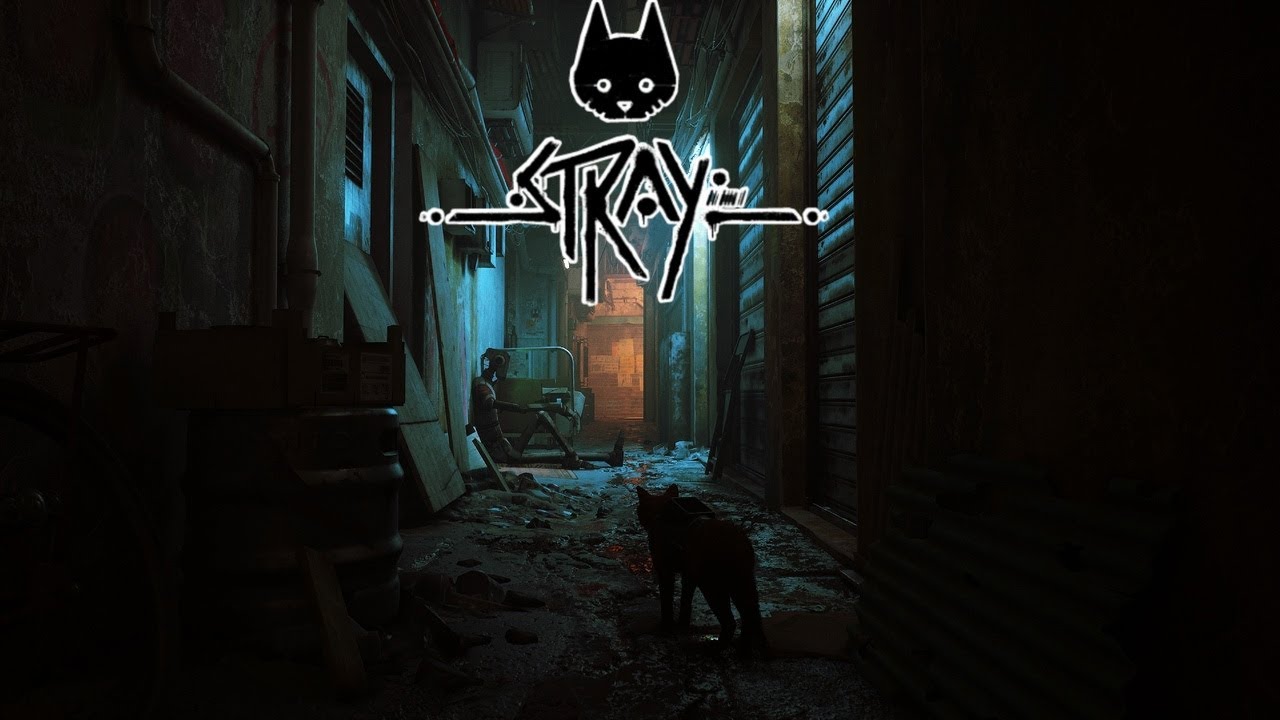 КОТИК ПОТЕРЯЛСЯ ►Stray #3