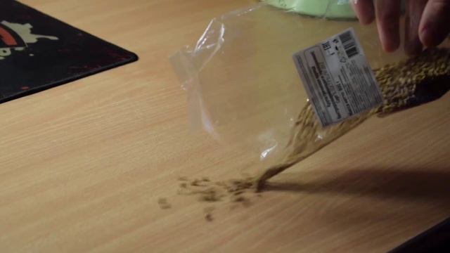 Как  готовятся к  экзамену студенты БГИТУ. Дом VC Общежитие