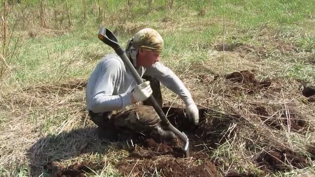 Закопался и обалдел от количества находок