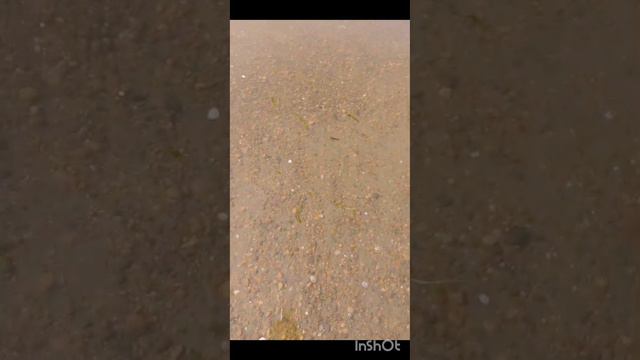 InShot_20240819_194819768.mp4