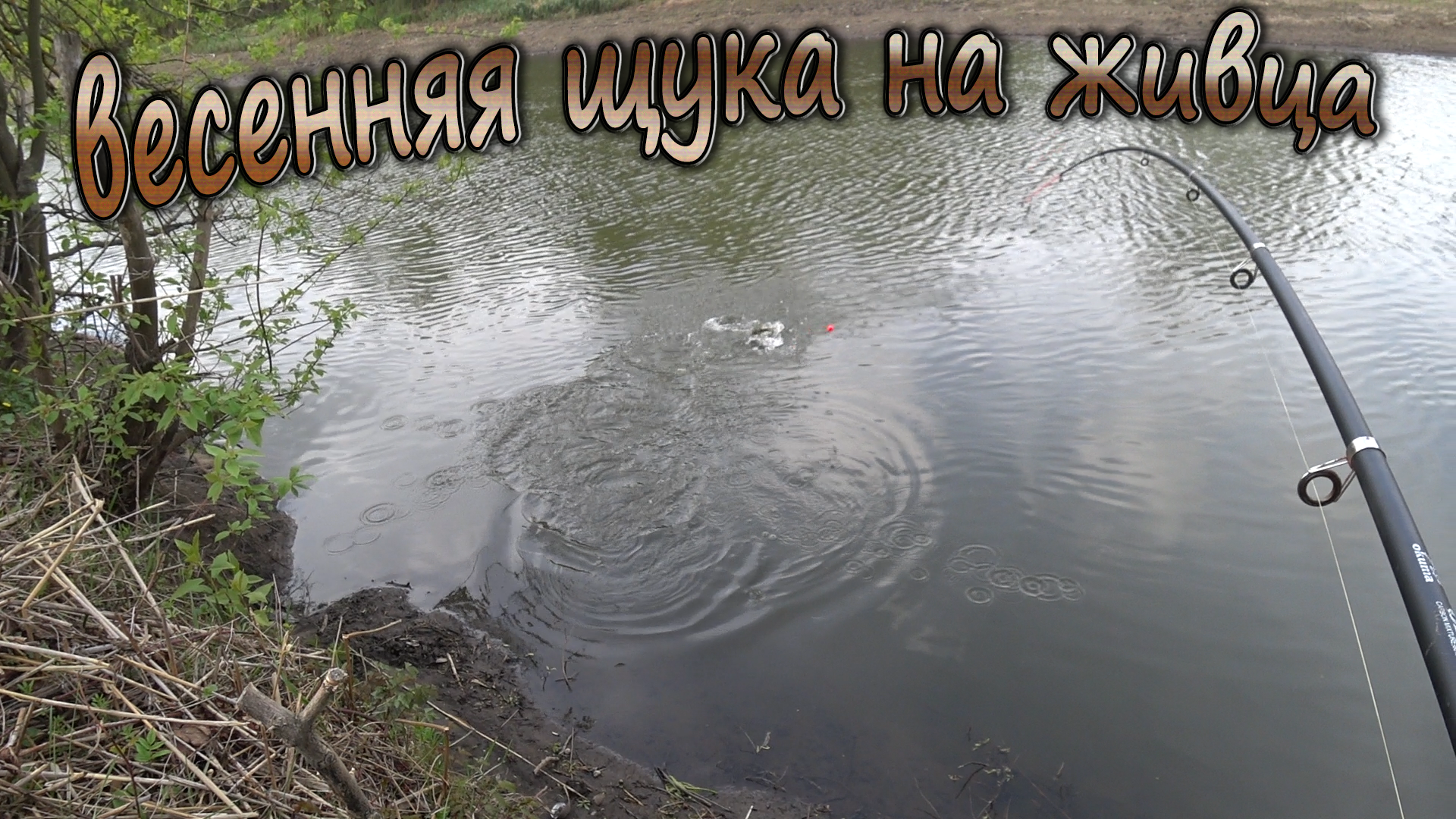 Ловля щуки на поплавочную удочку, на живца! Весенняя рыбалка на реке - "Сосна"!