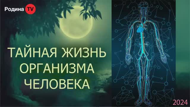 ТАЙНАЯ ЖИЗНЬ ОРГАНИЗМА ЧЕЛОВЕКА  ||  Родина НВ