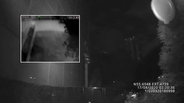 Поиск пропавших животных - Следопыт..mp4