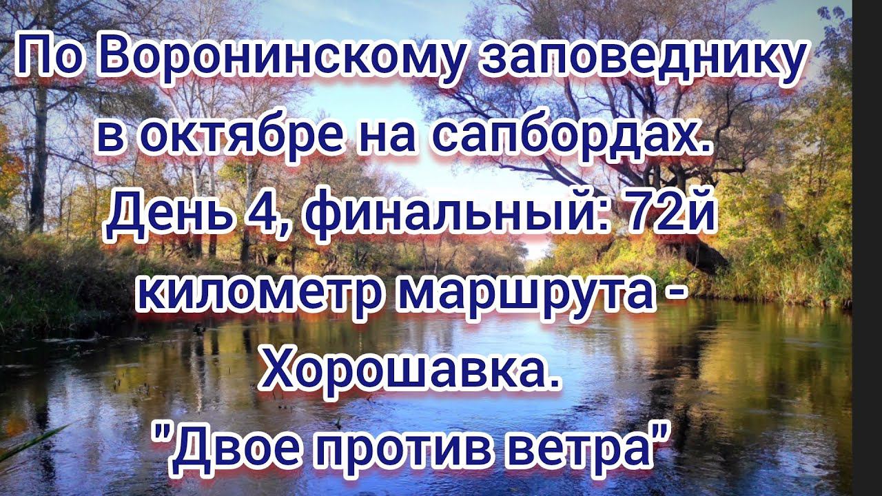На сапбордах в октябре по Воронинскому заповеднику. День 4, заключительный. "Двое против ветра".