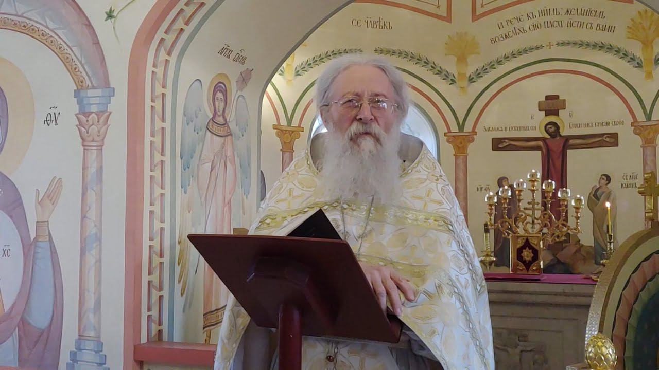 Высокоумие. 12.11.2023 г.