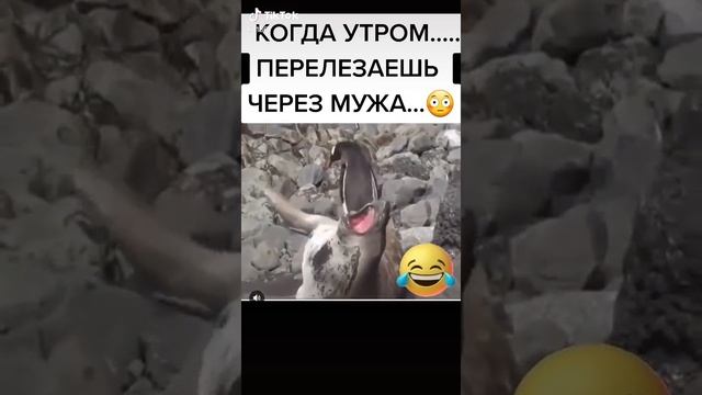 ༺?TÃTYÃNÃ?༻.mp4