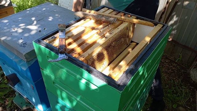 Отбор рамок для откачки Выпускаю маток Обработка от клещя варроа