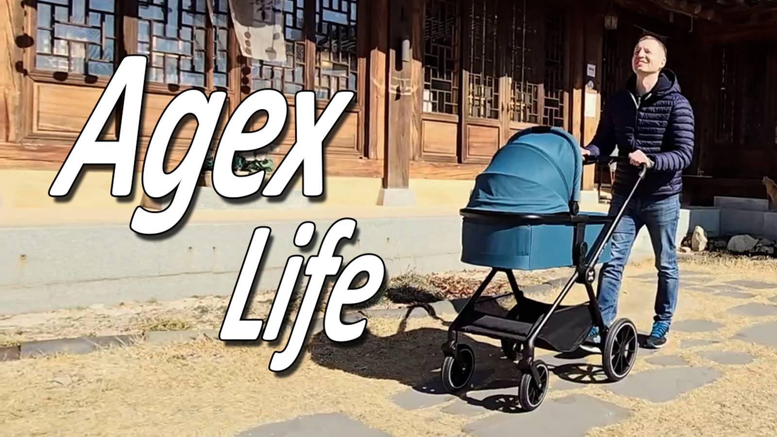 Agex Life - Обзор детской коляски от Boan Baby