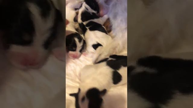 27 марта малышке 1 день.