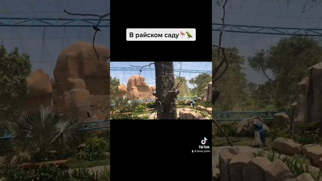 Райский сад. Вьетнам