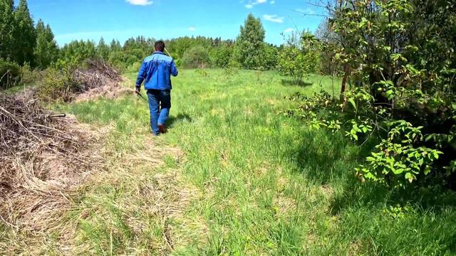 Участок в 2024. Что-то похожее на жизнь