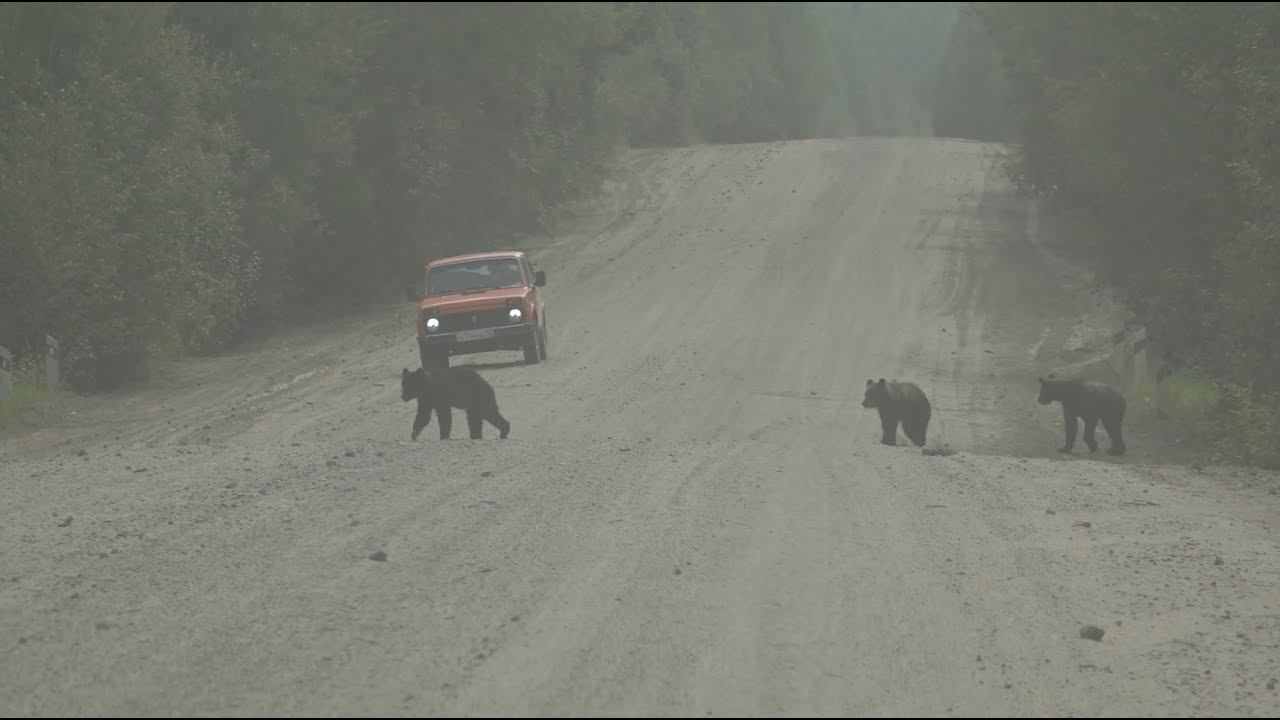 Рыбалка на таёжной реке и неожиданная встреча!