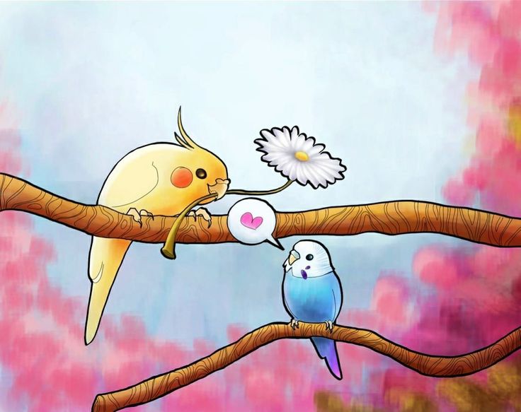 Яшка-ласкуша