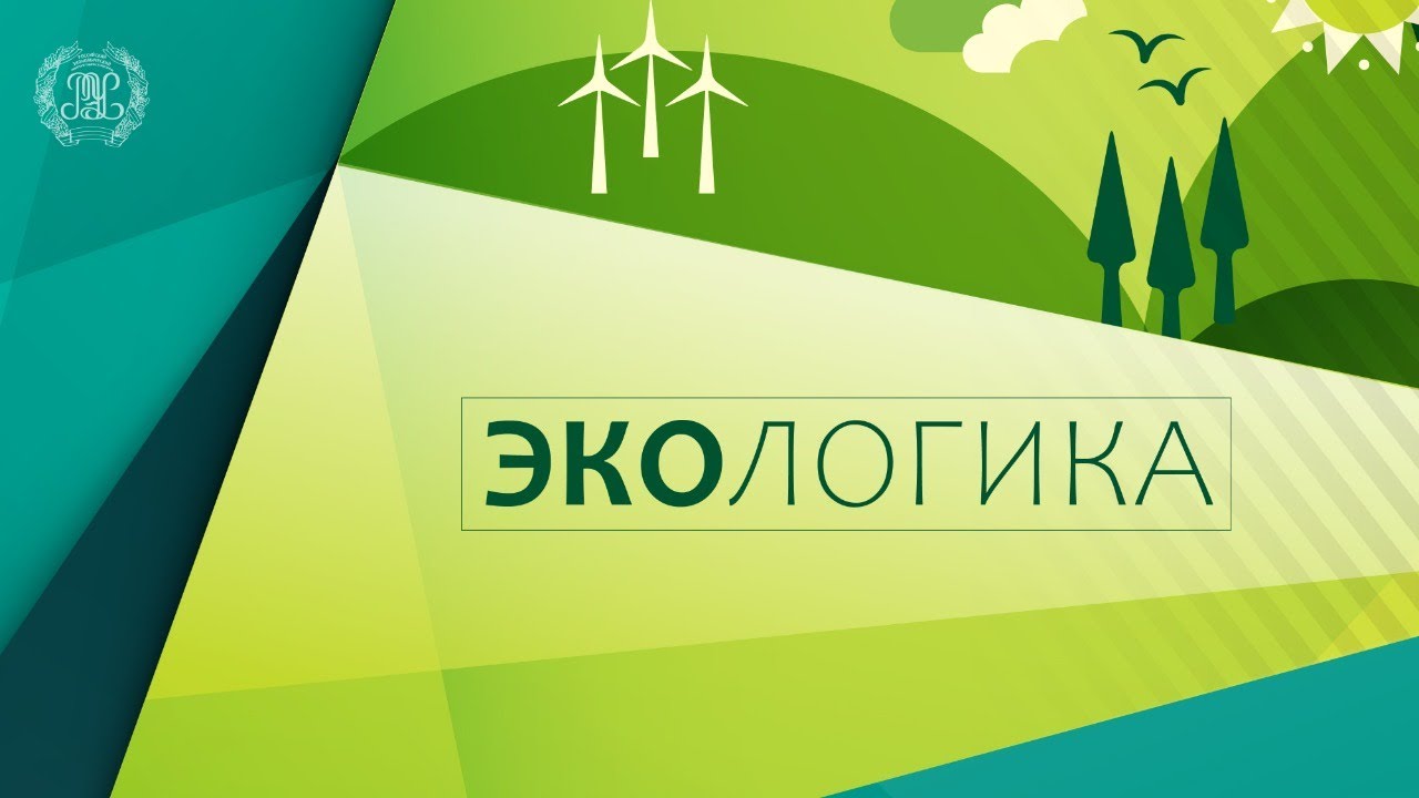 ЭКОлогика: сортировка мусора