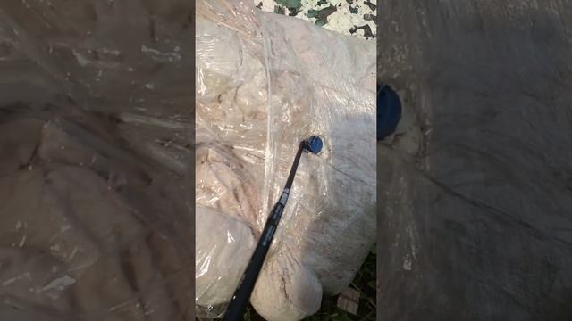 Стрельба из блочного лука. Меткий выстрел, а ля 'Робин Гуд'