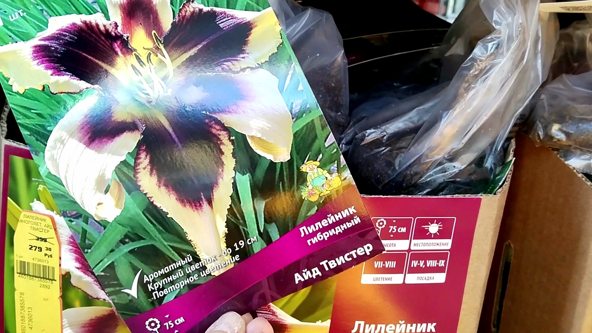 ?Оби?Луковичные?Лилии и Другие?Ассортимент⚘Цены?Большой Выбор❤