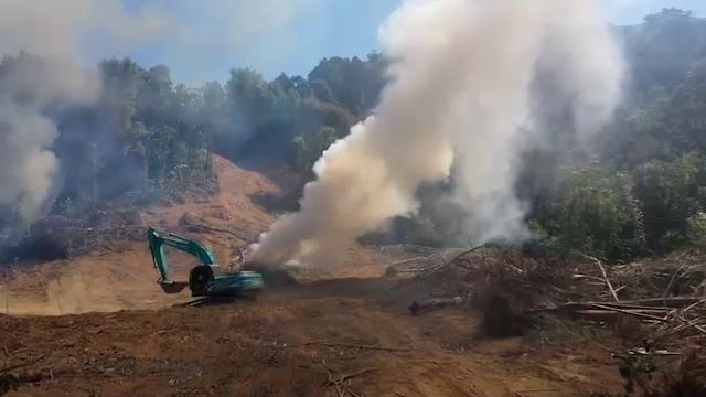 beehive4-culture-video-unit-9