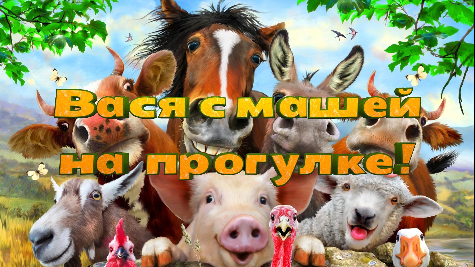 Мы на прогулке!