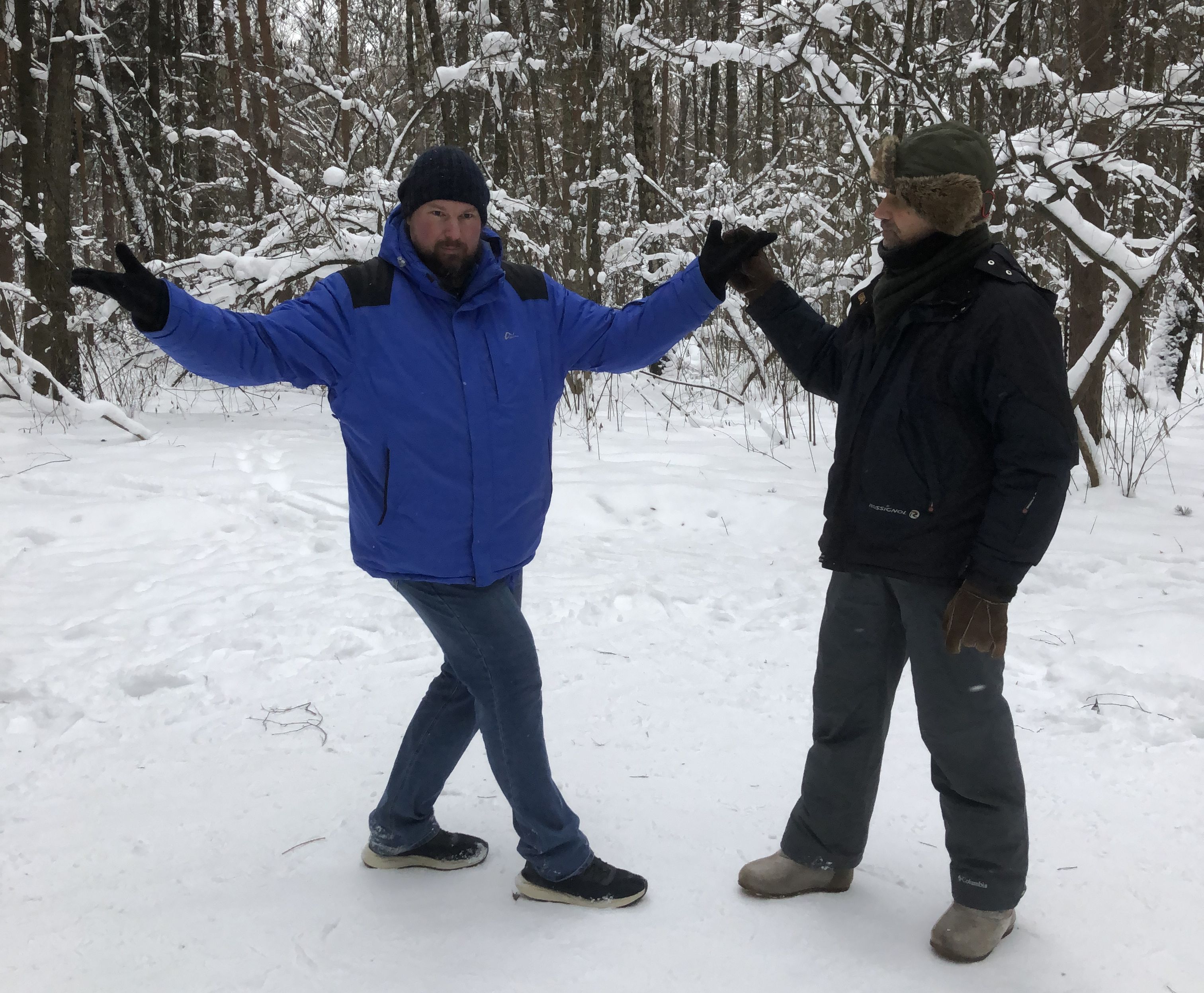 "Ладони поддерживающие Небо" - вторая статическая позиция комплекса Динши-бачжан. Багуа стиль Лян.