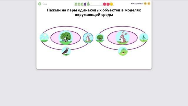 Повторение 3й класс Мир вокруг Экология 5 Модели экологических связей