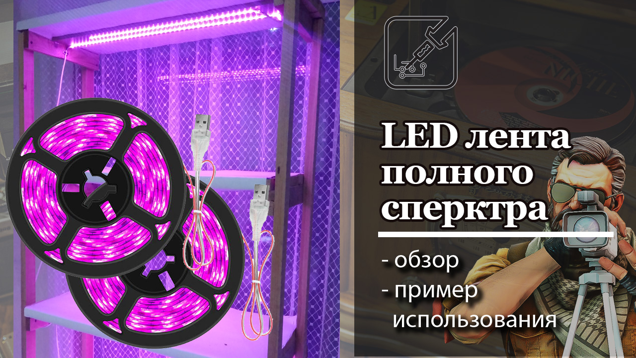 ? ? Все обязательно вырастет ☘