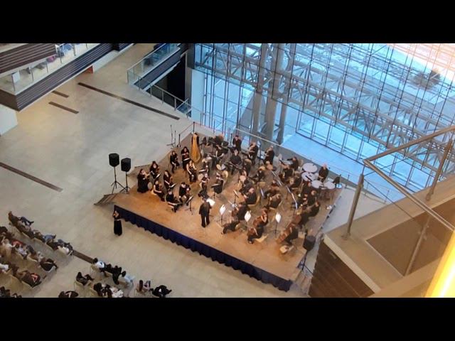 Концерт симфонического оркестра Мариинского театра, кампус ДВФУ 27.12.2022
