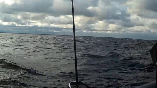 Рыбинское водохранилище.