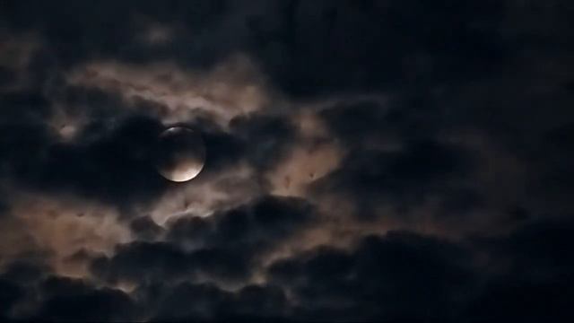 Красивые стихи о природе. "Тихо... Звёзд мотыльки". Современная поэзия.