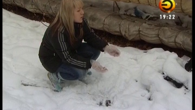 Живодёрня в программе "Город" ТК Эфир от 26.12.2011