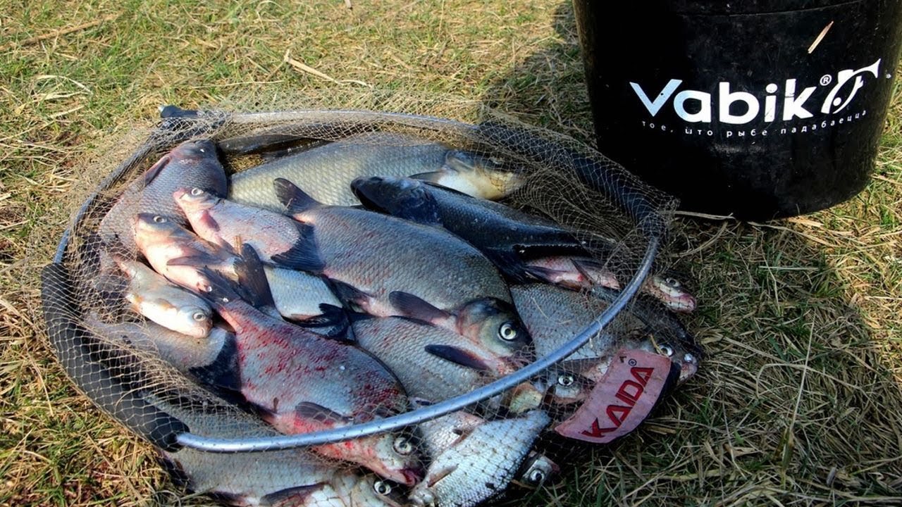 Рыбалка на Фидер. Ловля на Фидер 2021.