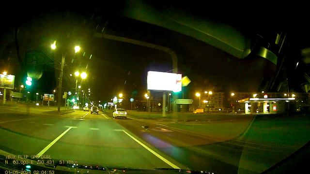 Кошка 9 жизней