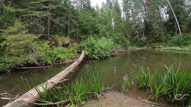 Рыбалка с тенкарой 5 5