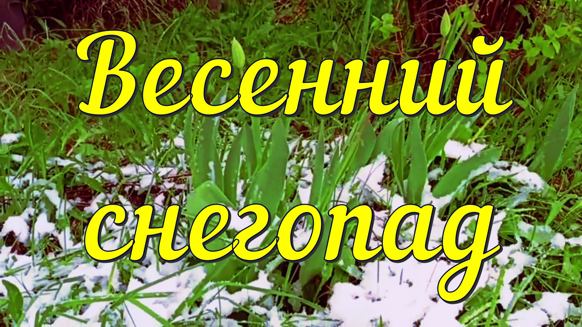 Весенний снегопад