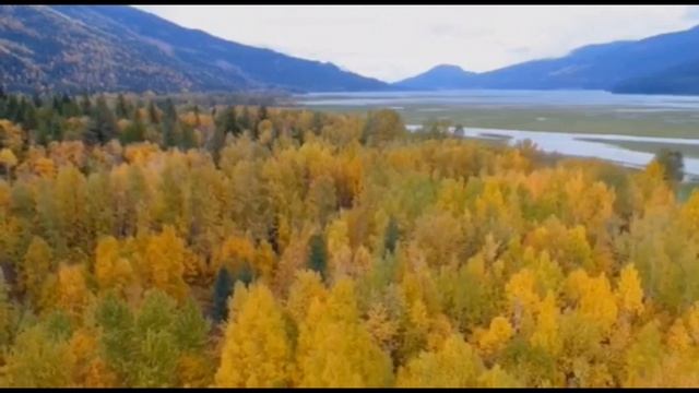 Жили - были дед и баба