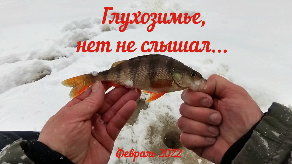 Клев плотвы и окуня в феврале, в глухозимье. Рыбалка на двух речках