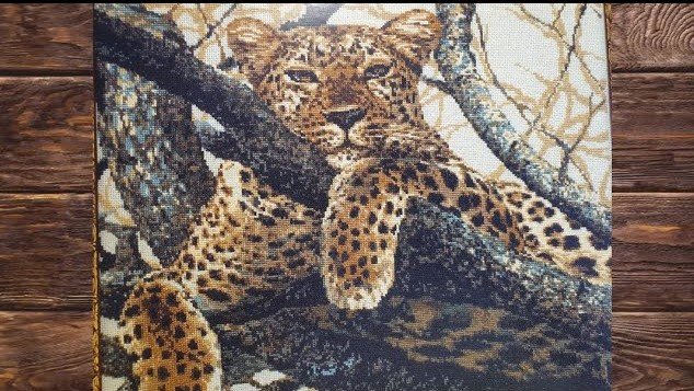 "Отдыхающий Леопард" от Риолис. От старта до финиша